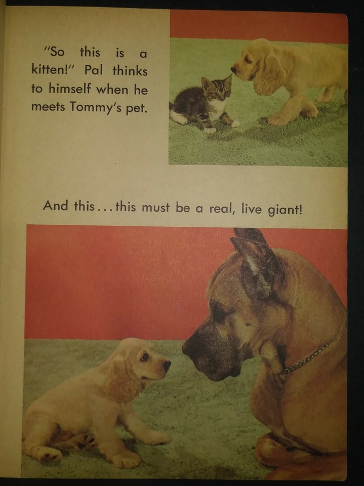 Pal and Peter by WIlliam P Gottlieb Little Golden Book Cocker Spaniel ...