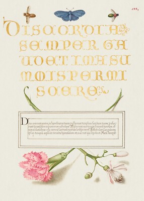 14094.Decor Poster.Kitchen wall design.Renaissance floral calligraphy ...