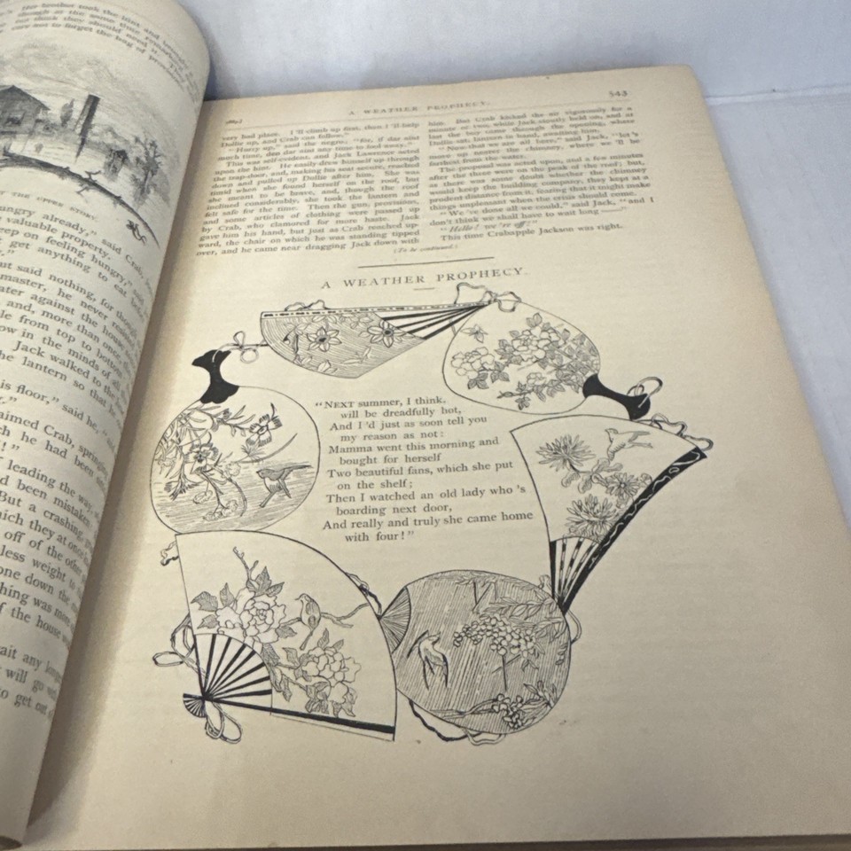 1883 St. Nicholas Illustrated Magazine Young Folks Vol X Part II bound volume | eBay