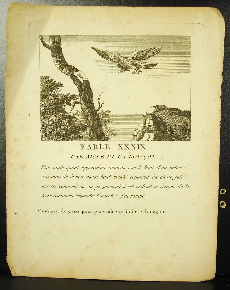 Fable an Eagle and a Snail c1800 The Eagle & the Colchea Story Saint ...