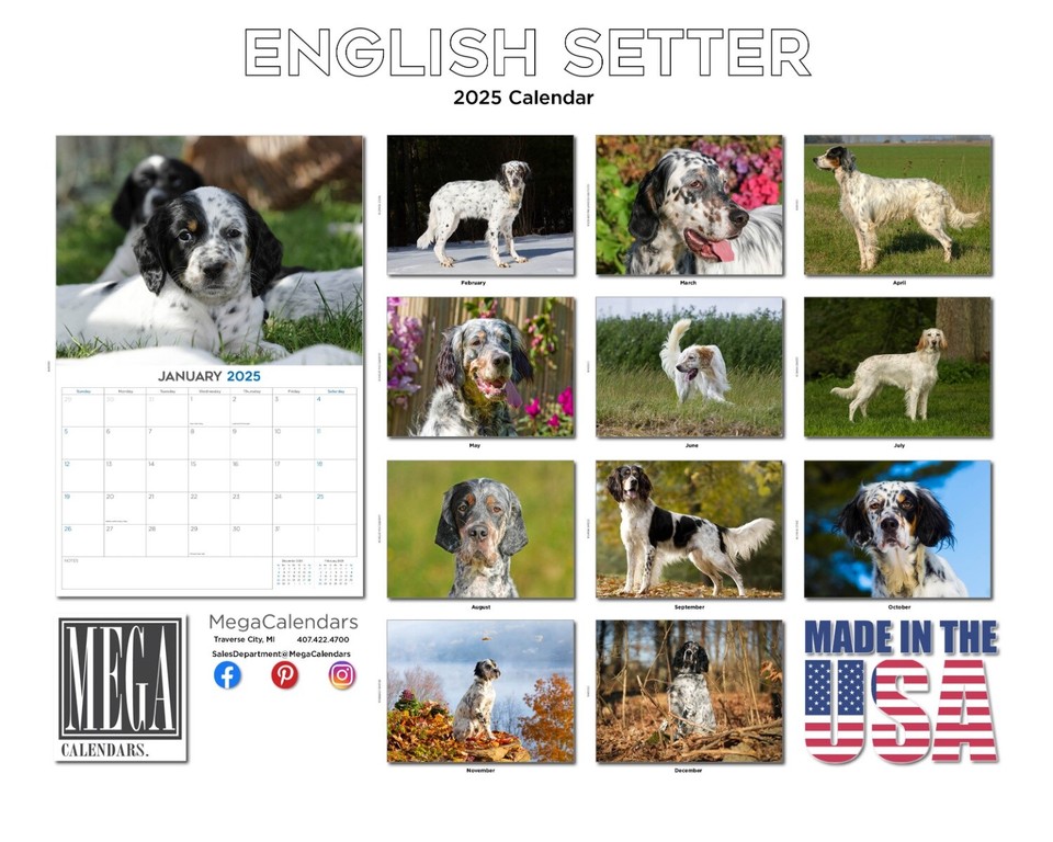 English Setter Dog Breed Calendar 2025 12x18 Made in USA | eBay