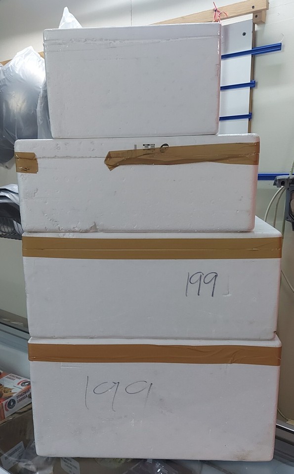 POLYSTYRENE COOL BOXES VARIOUS SIZES - USED | eBay UK