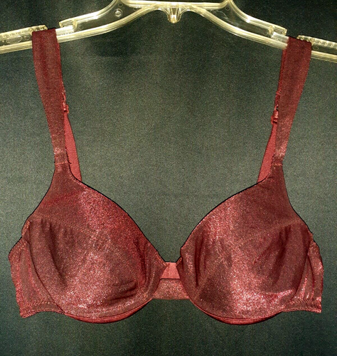 Vintage Gold Label VICTORIA'S SECRET Sz 34B Bra Burgundy Red Shimmery ...