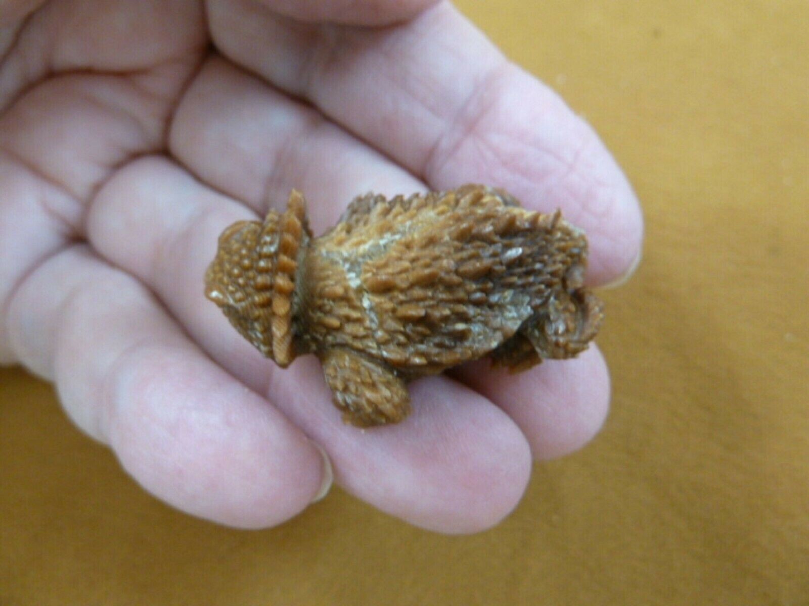 tb-liz-56 Horned Lizard Tagua NUT palm figurine Bali detailed horny ...