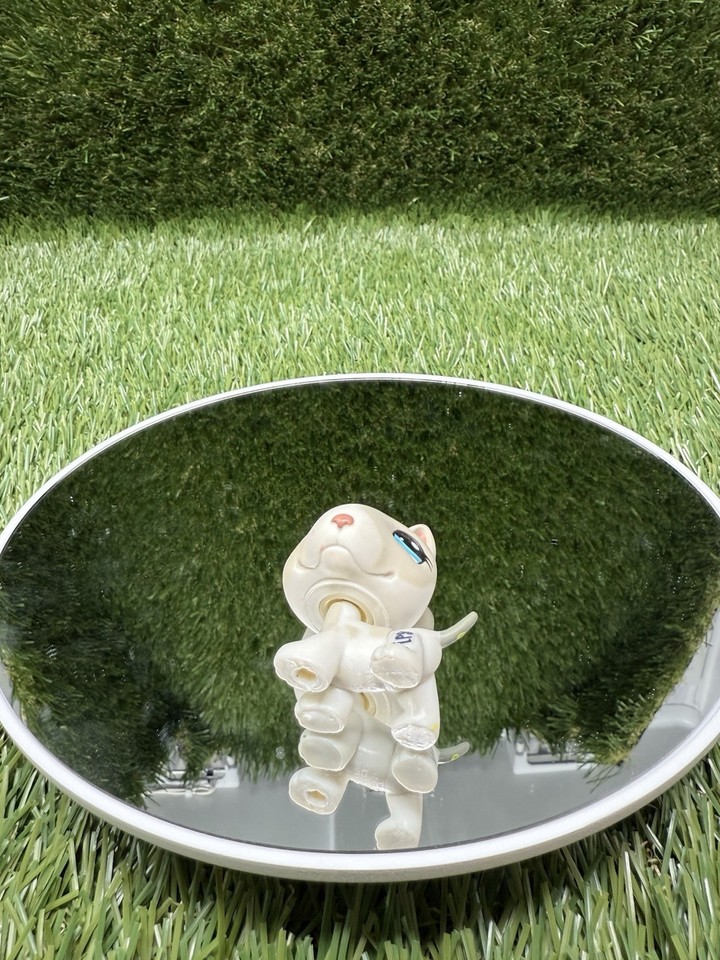 Littlest Pet Shop LPS Bull Terrier #1665 White Tan Dog Blue Eyes | eBay