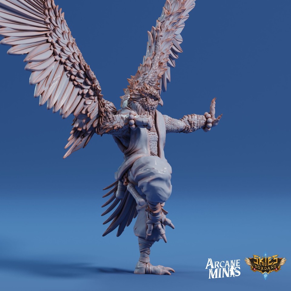 D&D Miniature Aarakocra Strixian Owl Monk Pose 2 Dungeons and Dragons ...