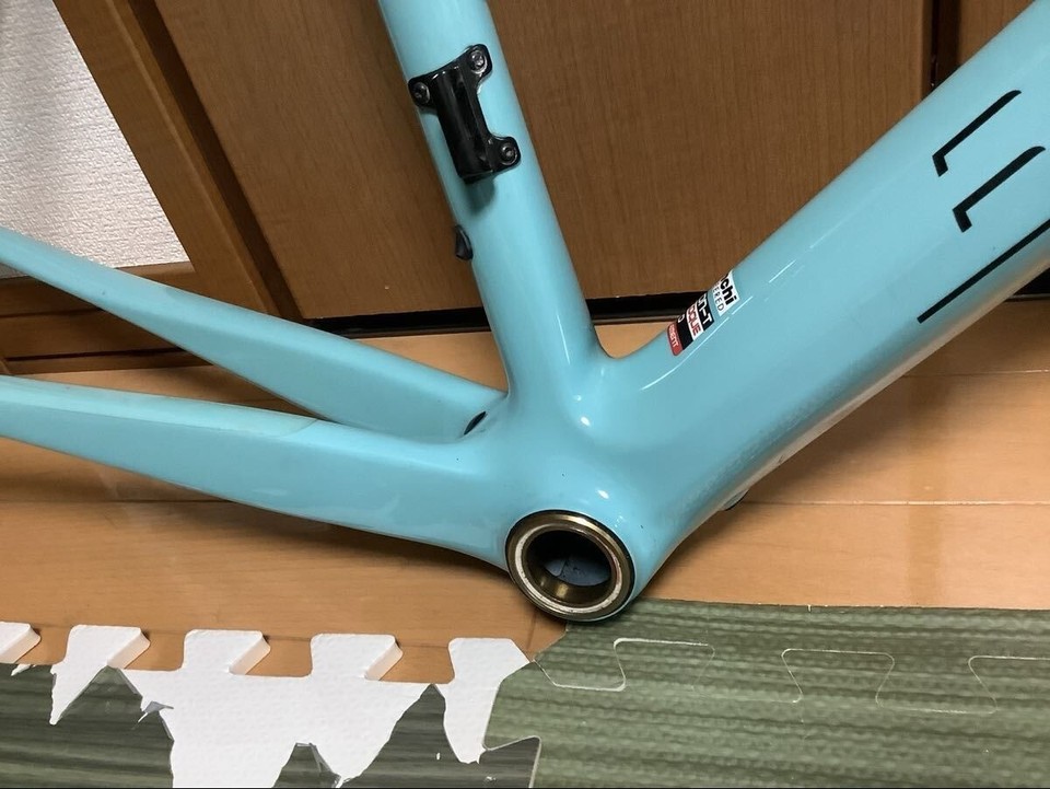 Bianchi Specialissima Carbon Road Bike Frame Rim Brake USED F/S | eBay