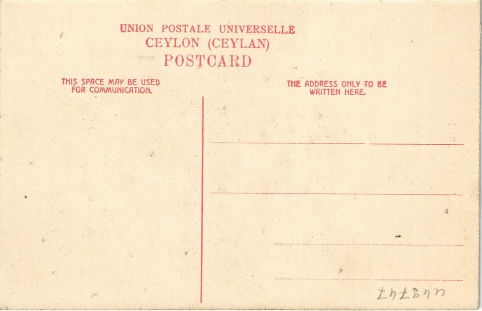 PC CEYLON SRI LANKA ETHNIC TYPES KANDY LADY (a49747) | eBay