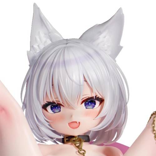 Nikkan Girl Female Brat Cat's Estrus Period Nonoa 1/5 Painted Complete ...