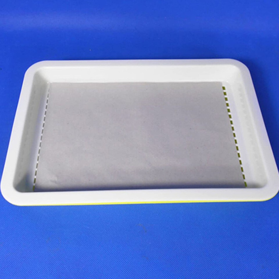 100 Sheets Sprout Vegetable Planting Paper Germinating Paper for Plant ...