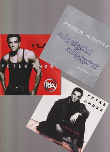 (-0-) Peter Andre - I FEEL YOU ALL NIGHT FLAVA CD SINGLE LOT OF 3 ...