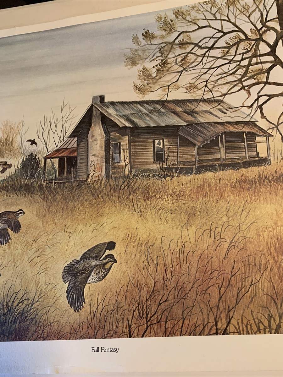 Tim Pafford's Instagram, Twitter & Facebook on IDCrawl