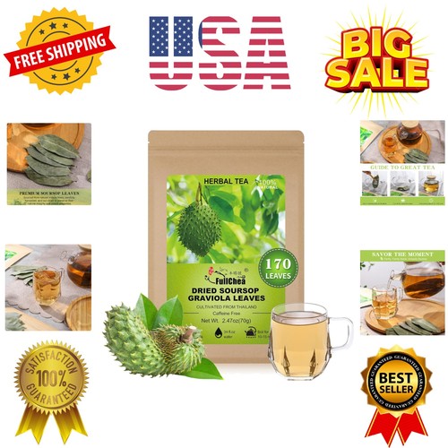 Soursop Leaves, 170+ Hojas De Guanabana - Soursop Leaves Tea ...