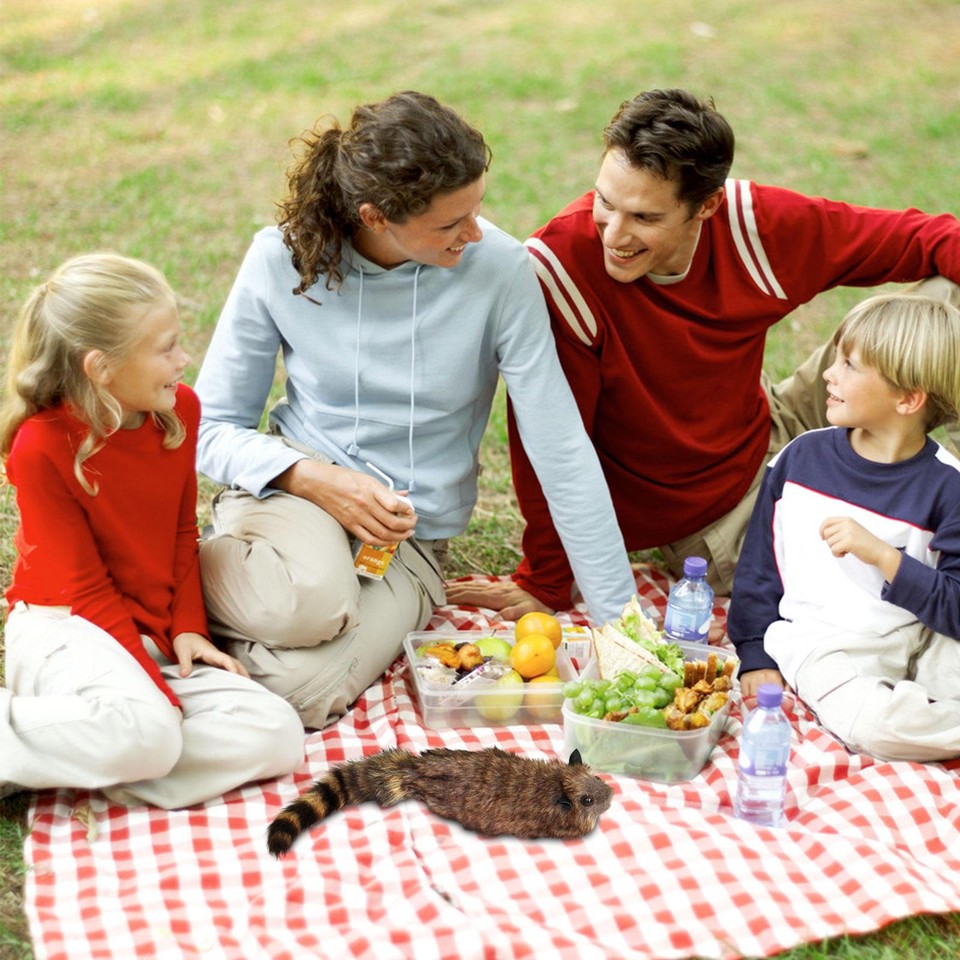 Stuffed Raccoon Simulation Raccoon Magic Toy Moving Spring Raccoon | eBay