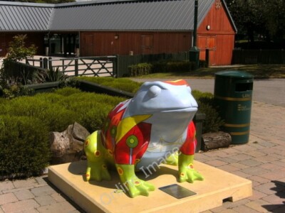 Photo 6x4 Larkin toad #29 Sutton Ings/TA1231 East park animal education ...