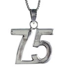 Sterling Silver Any One Number Pendant / Charm from 75 to 99 | eBay