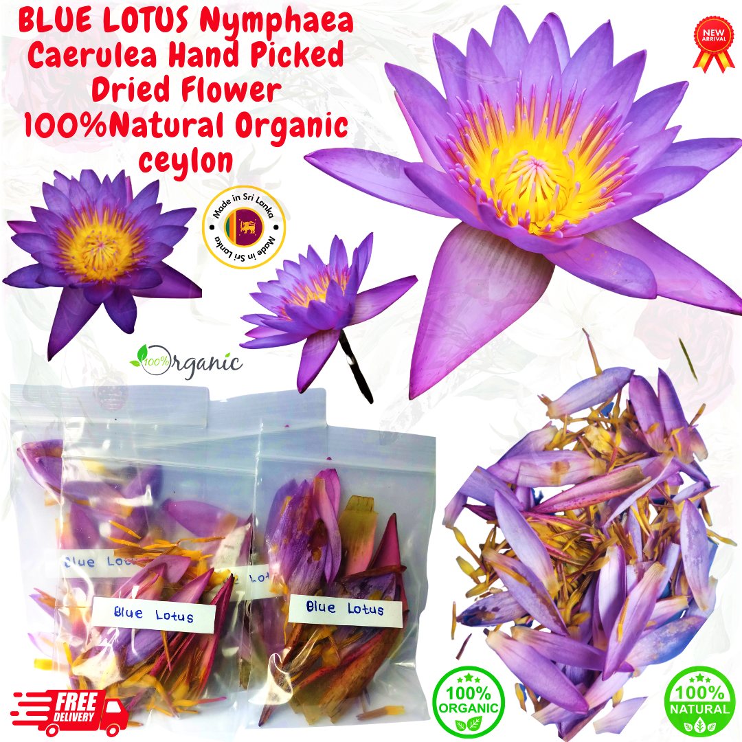 Egyptian Sacred Blue Water Lily Nymphaea Caerulea 10 Seeds Nymphaea