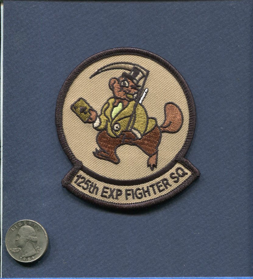 125th EFS FS OK ANG USAF F-16 FALCON Desert Squadron Patch | eBay