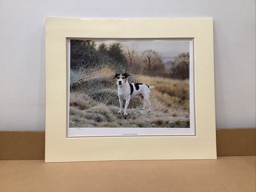 Steven Townsend - Our Jack - Limited Edition | eBay