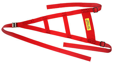 Race Car Dragonslayer Sprint Car Style Red Window Net #1975 | eBay