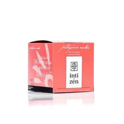 Inti Zen - Té Blend Patagonia Rooibos 15 Saquitos (x 4 Unidades) | eBay