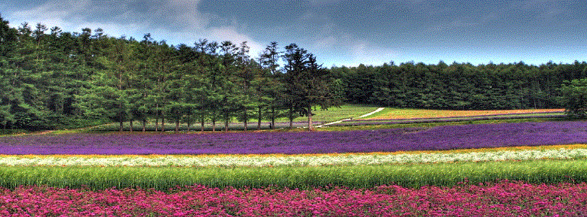 hokkaido-love | eBay Stores