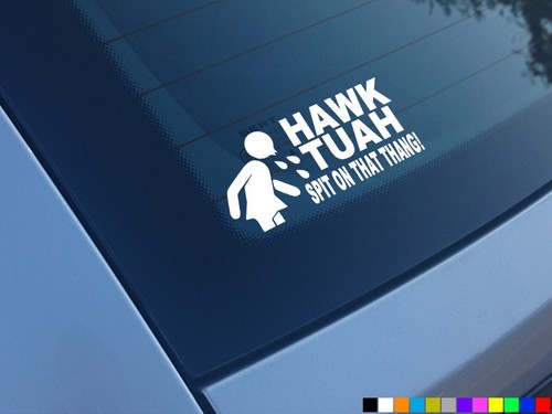 HAWK TUAH SPIT ON THAT THANG FUNNY CAR STICKERS DECALS MEME TIKTOK ...