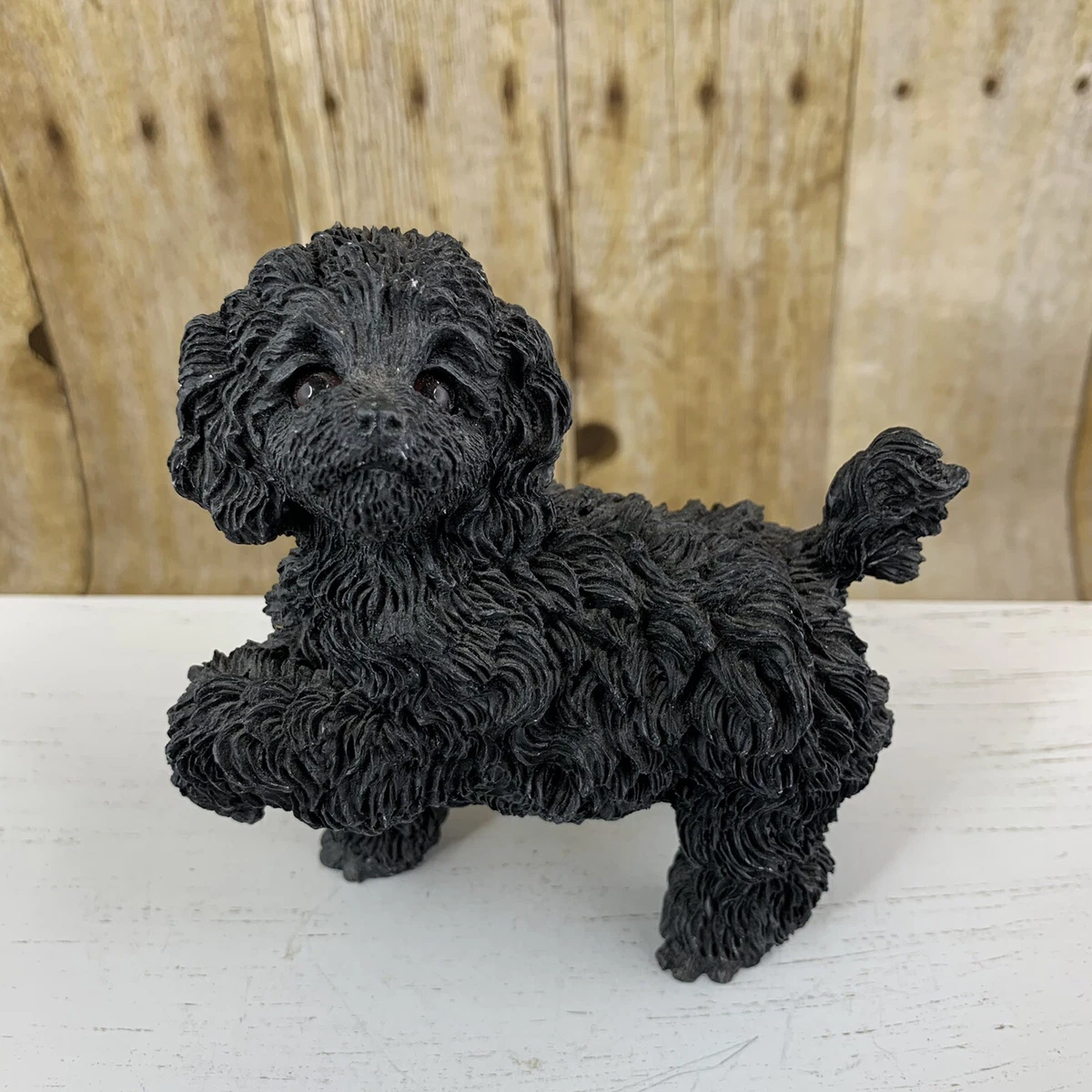 Black Toy Puppies