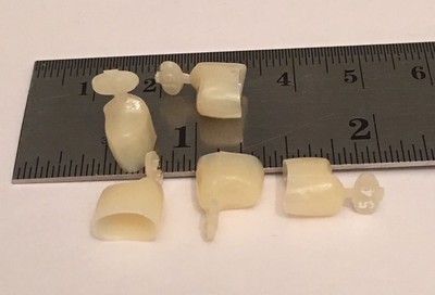 Dental Polycarbonate Temporary Crowns 5 pcs #54 | eBay