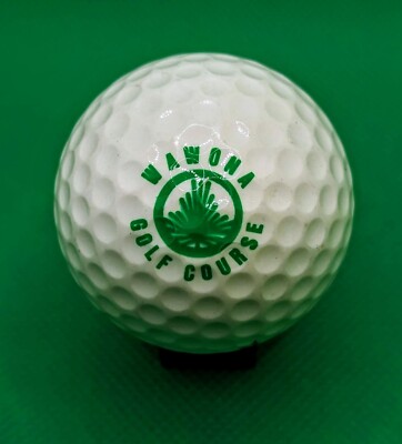 Vintage Wawona Golf Course in Yosemite National Park logo golf ball ...