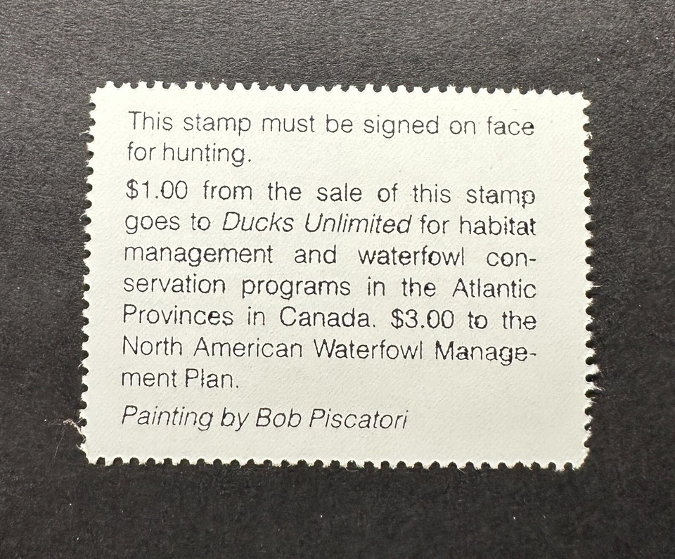 WTDstamps - 1991 MASSACHUSETTS - State Duck Stamp - Mint OG NH | eBay