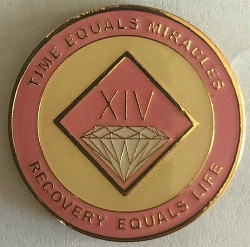 Narcotics Anonymous NA PINK 14 YEAR White Gold Medallion Chip Coin ...