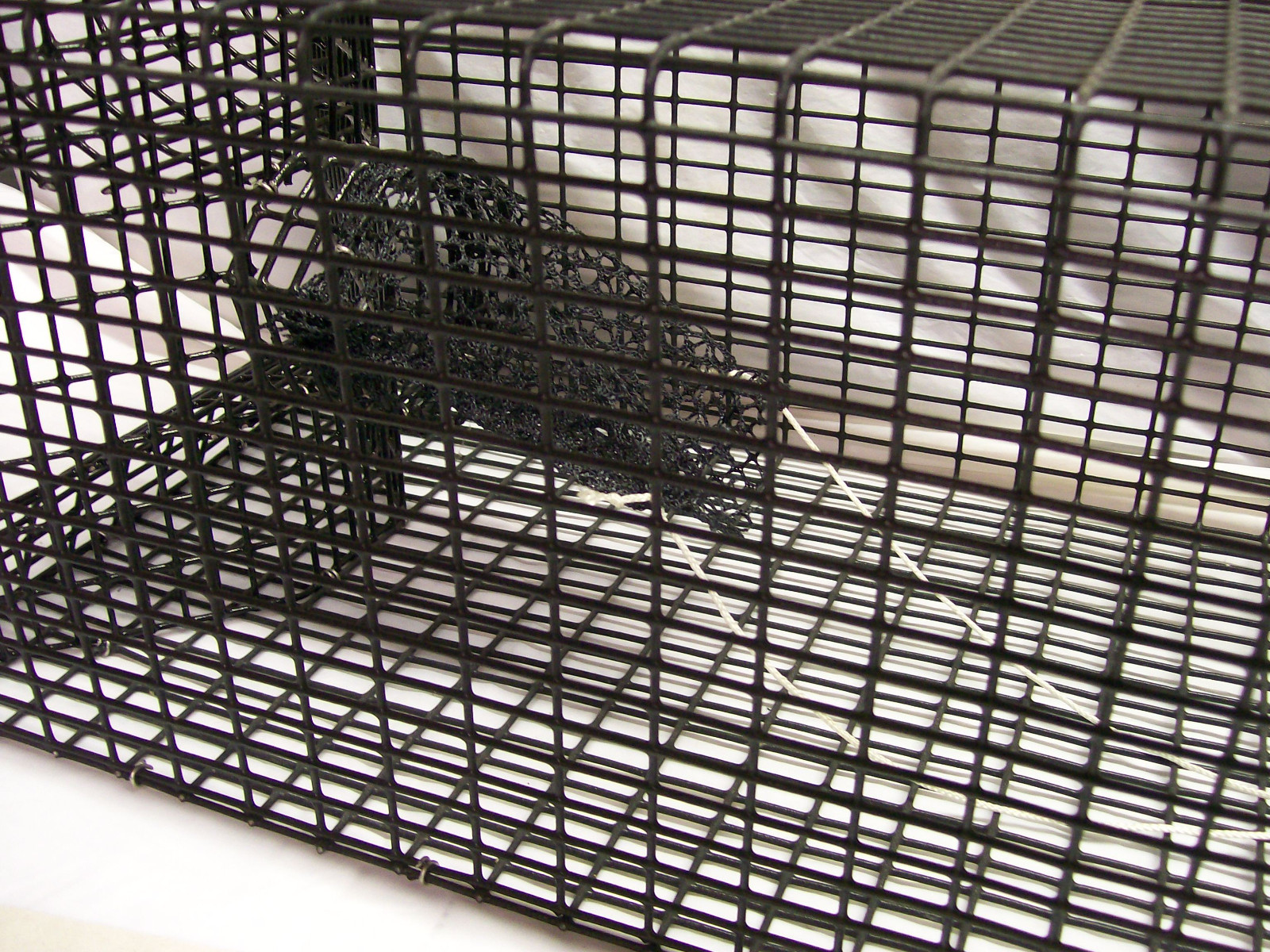 E-Z Catch Custom Commercial Eel Pot, Trap, Buoy & Rope PVC Coated Ready ...