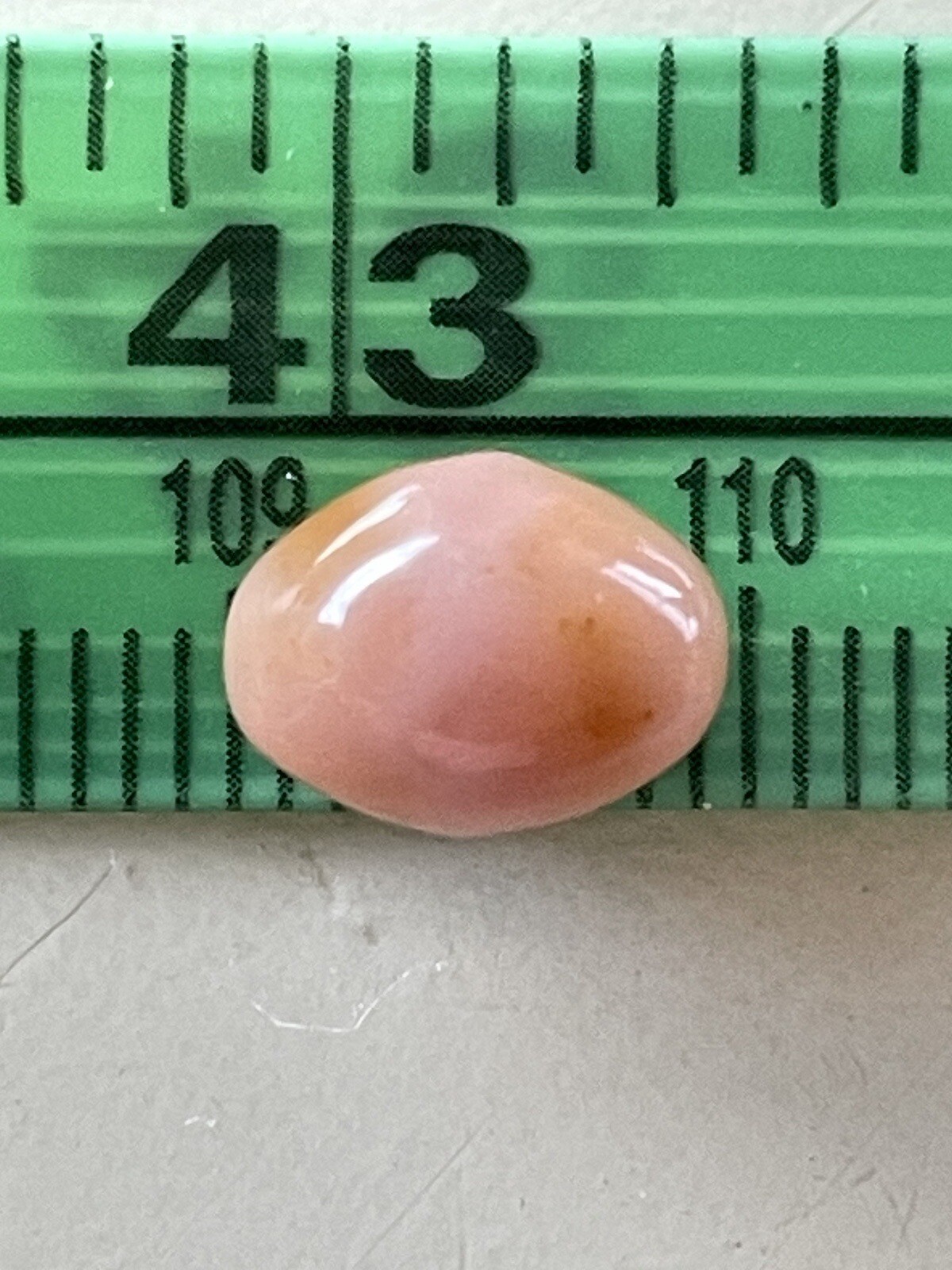 Queen Conch Pearls. Conch Pearls. Natural Queen Conch Pearl. Conch ...