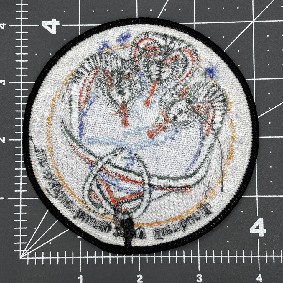 384 of 10000 US Air Force National Reconnaissance Office Snakes Aera 51 ...