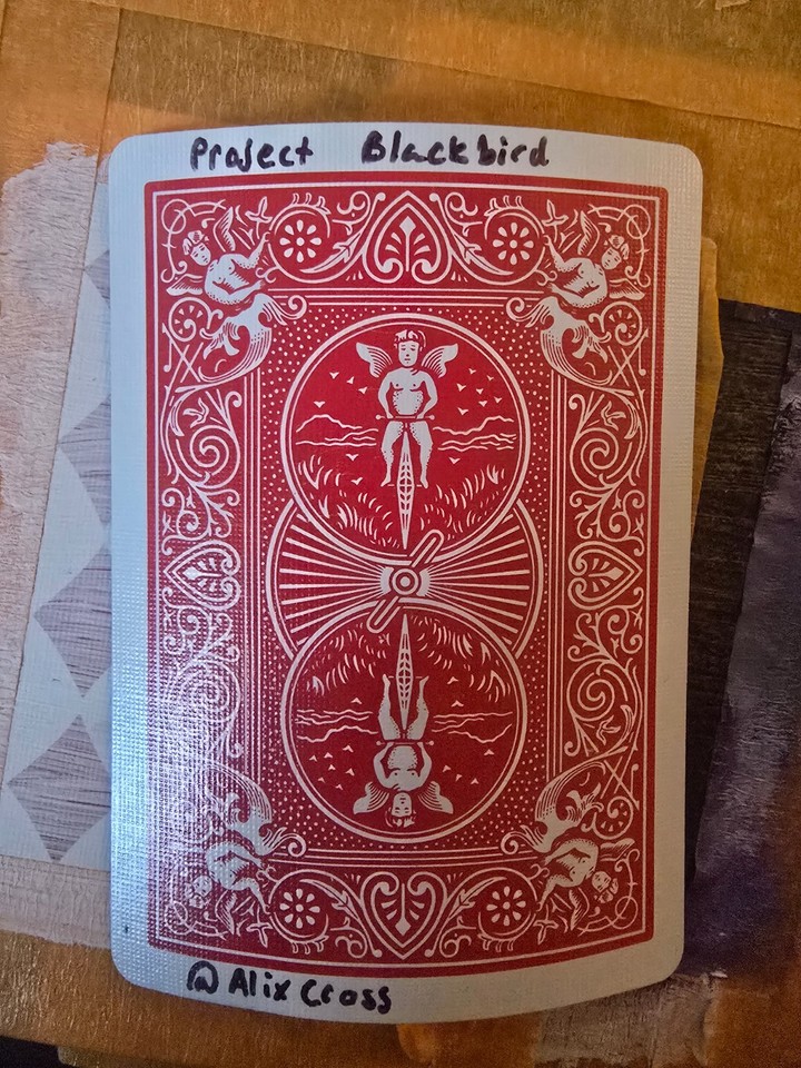 "Black Birds 28" ACEO original Project Blackbird Event 2.5 x3.5 | eBay