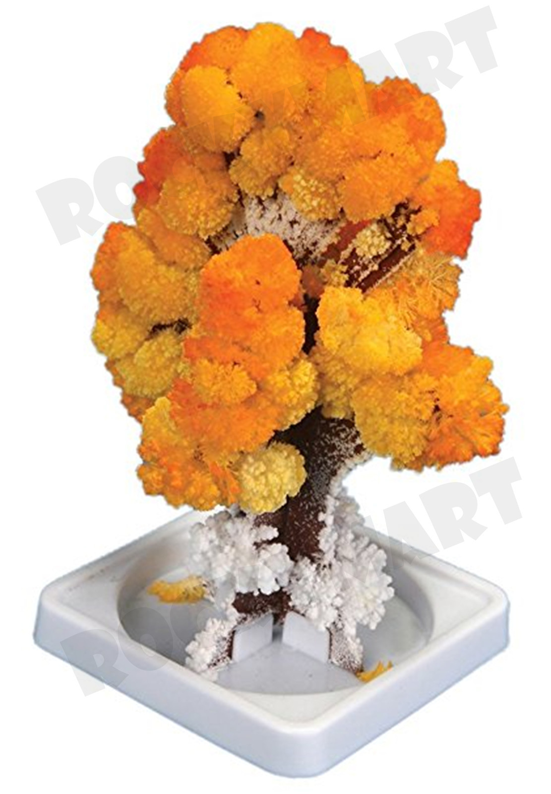 Magic Growing Tree COLORS Science Fun For Kids of all Ages Grows in ...