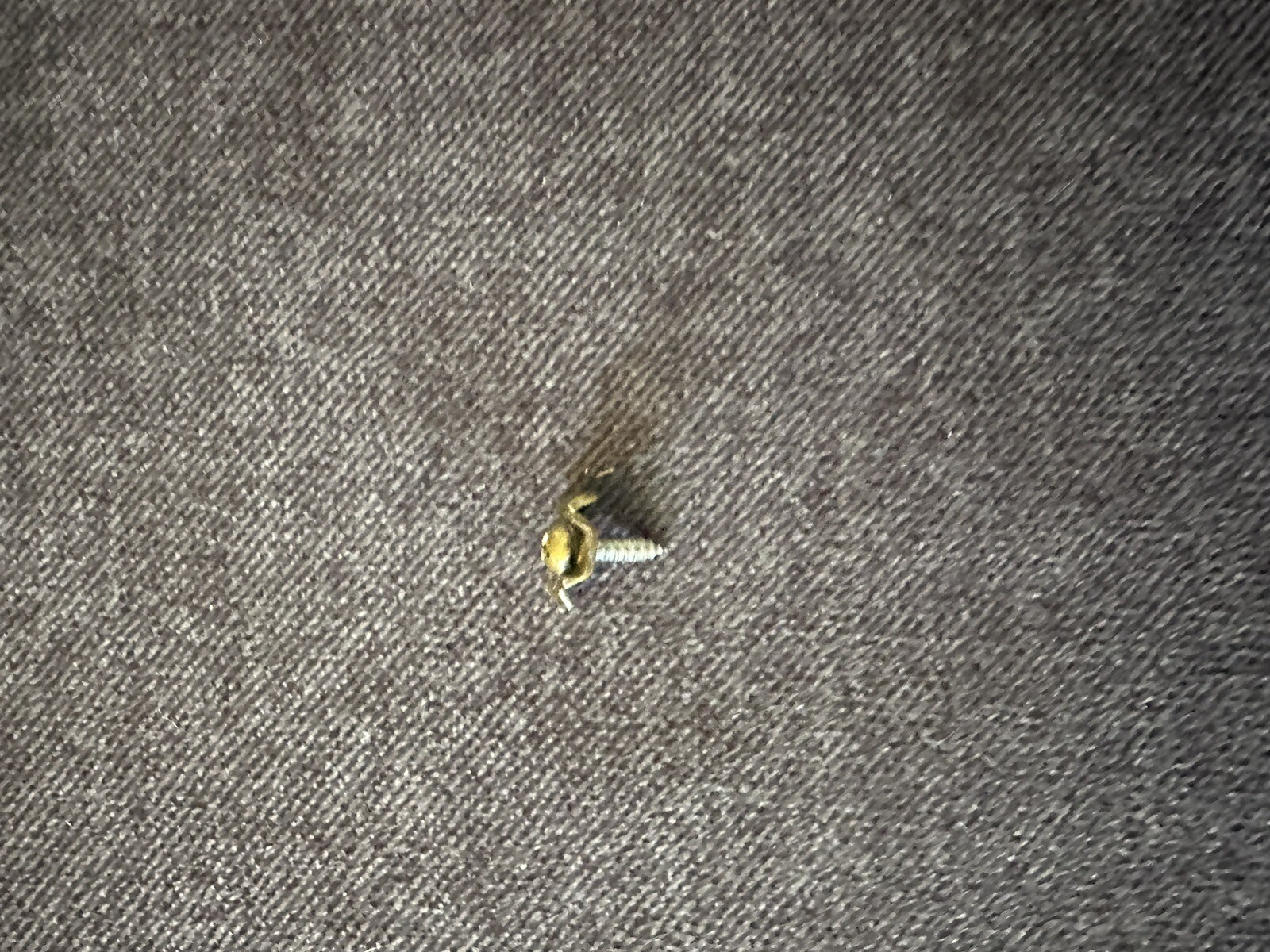 Vintage Fender Strat Telecaster 1960s String Tree | eBay