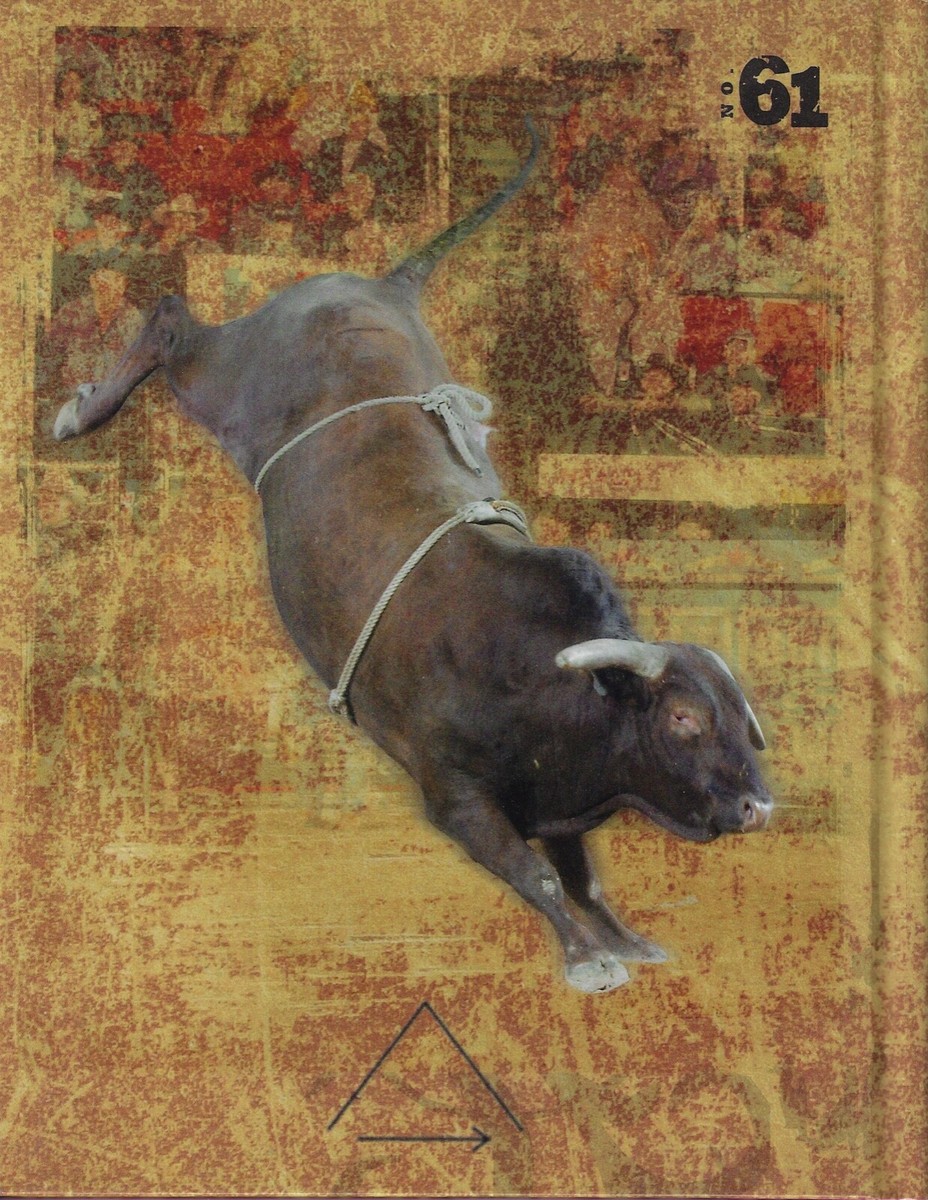 Yellow Jacket Bull 35F Cool Whip