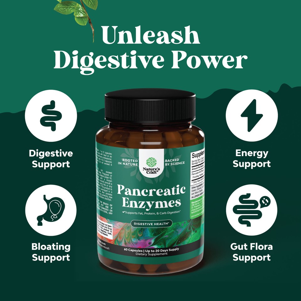 Pancreatin Digestive Enzymes for Digestive Health - Protease Amylase ...