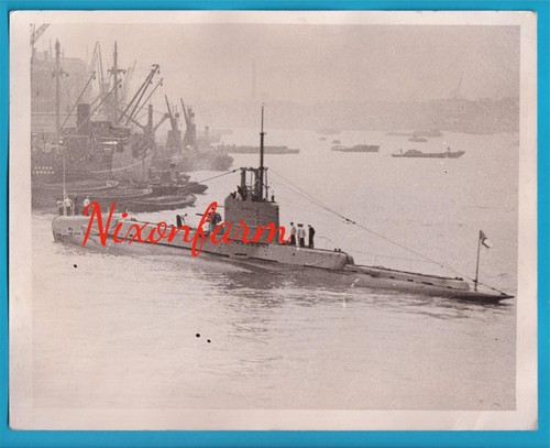 Original 10 x 8 Press Photo Royal Navy Submarine HMS STARFISH | eBay UK