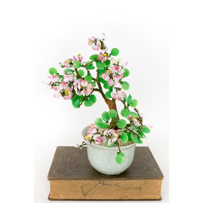 Chinese foe jade bonsai flowering tree | eBay