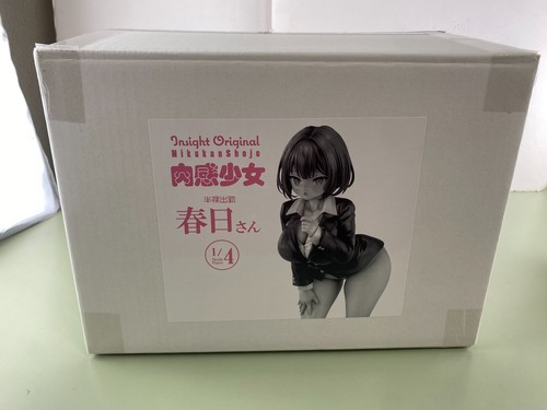 Nikkan Girl Kasuga 1/6 scale Height 209mm PMMA painted figure Japan ...