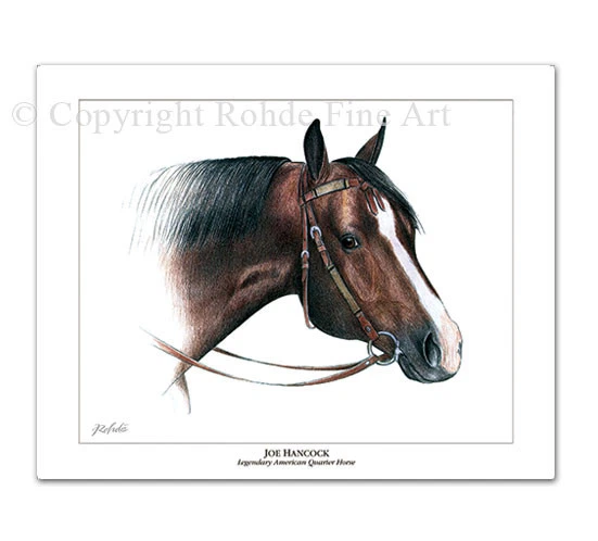Quarter Horse Drawing