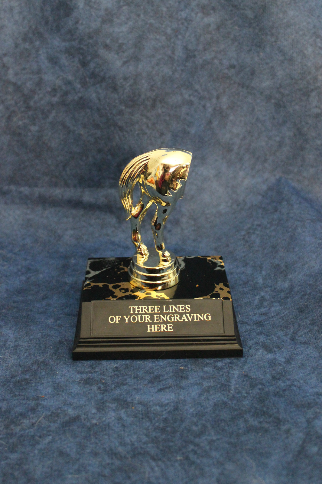 A Horse's Rear Award! FREE ENGRAVING!!!! Last Place Award??? Biggest ...