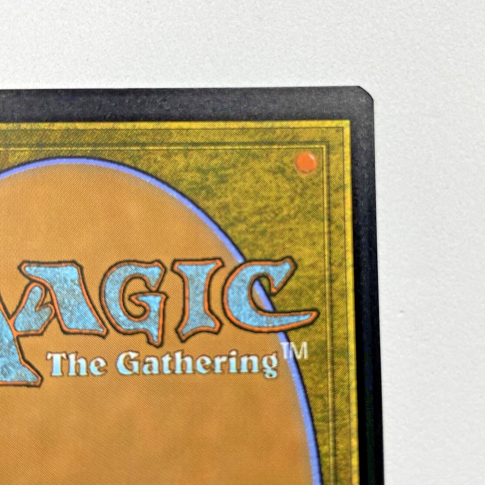 MTG Swamp Kamigawa: Neon Dynasty 287/302 Regular Land for sale online ...