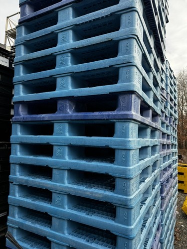 Orbis/NSF 40X48 HD PP Pallet 100’s Available Slightly Used | eBay