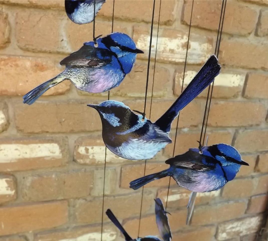 8 Birds Conservation Café: SI National Zoo Bird House With Brian