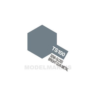 TAMIYA TSC100 Spray Semi-Brillant Gun Metal | eBay