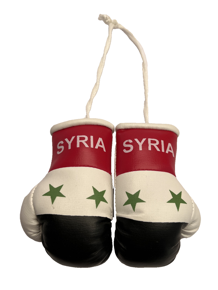 SYRIA / SYRIAN Flag Mini Gloves Ornament / Souvenir / Decoration | eBay ...